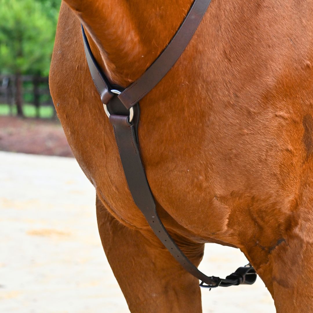 CorrectConnect 3-Point Breastplate with Double Neck Strap – BlackJack ...